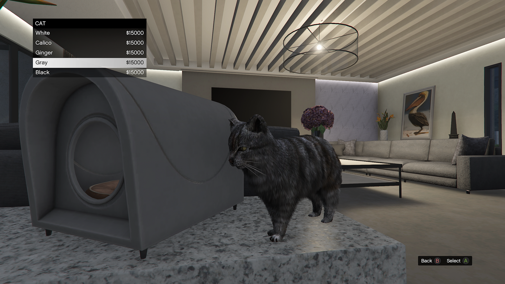 How To Buy Cats And Dogs In GTA Online And Pet Them - RockstarINTEL