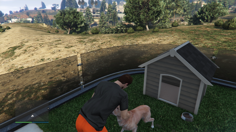 How To Buy Cats And Dogs In GTA Online And Pet Them - RockstarINTEL