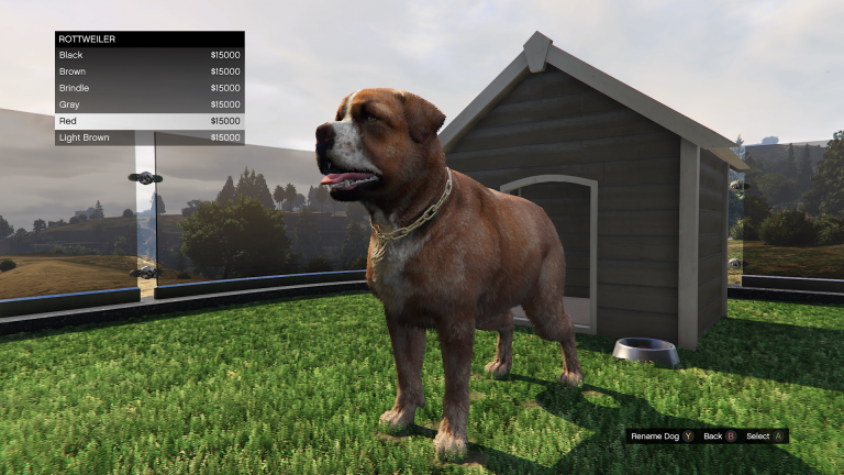 How To Buy Cats And Dogs In GTA Online And Pet Them - RockstarINTEL